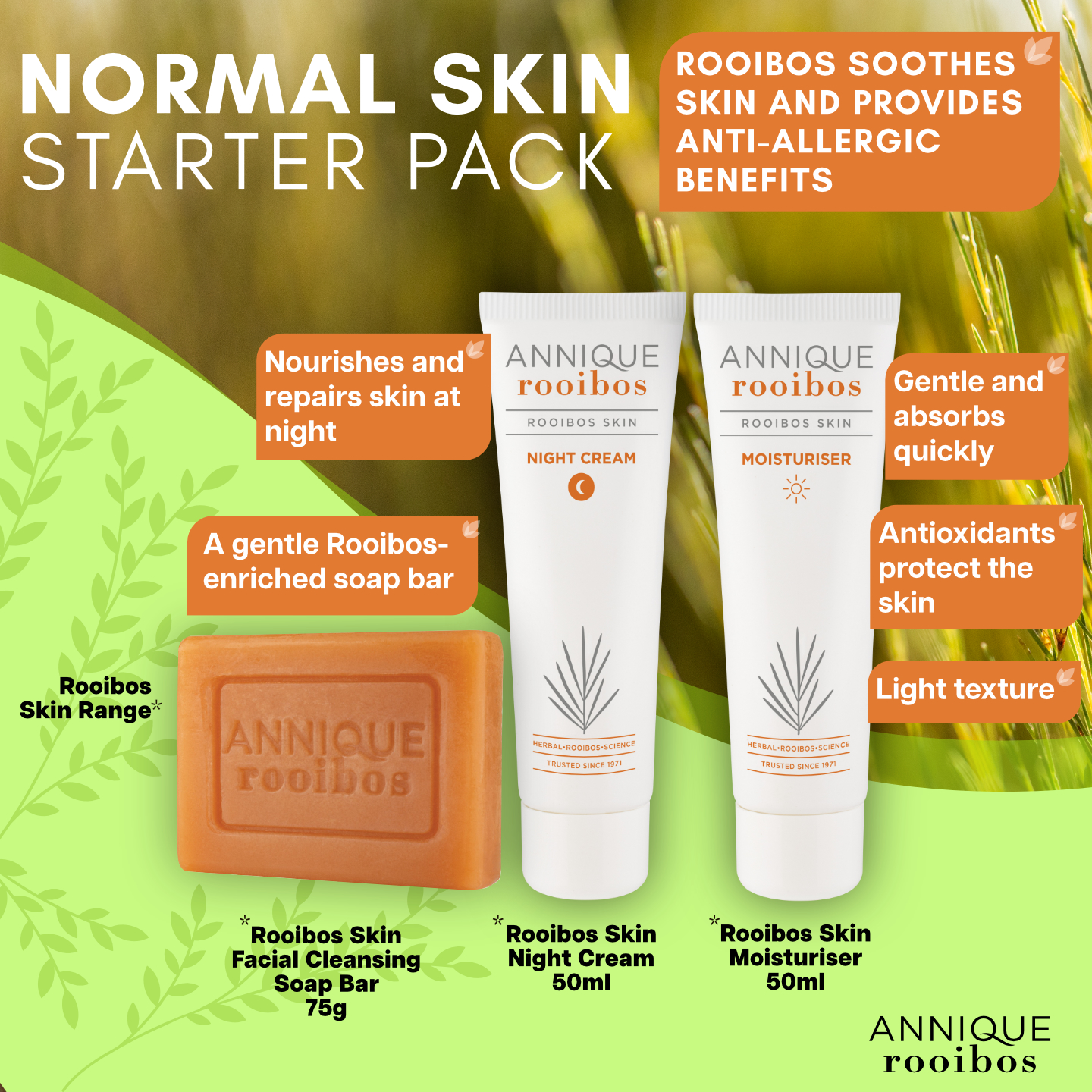 Annique Rooibos. Rooibos Skin Night Cream â€“ 50ml